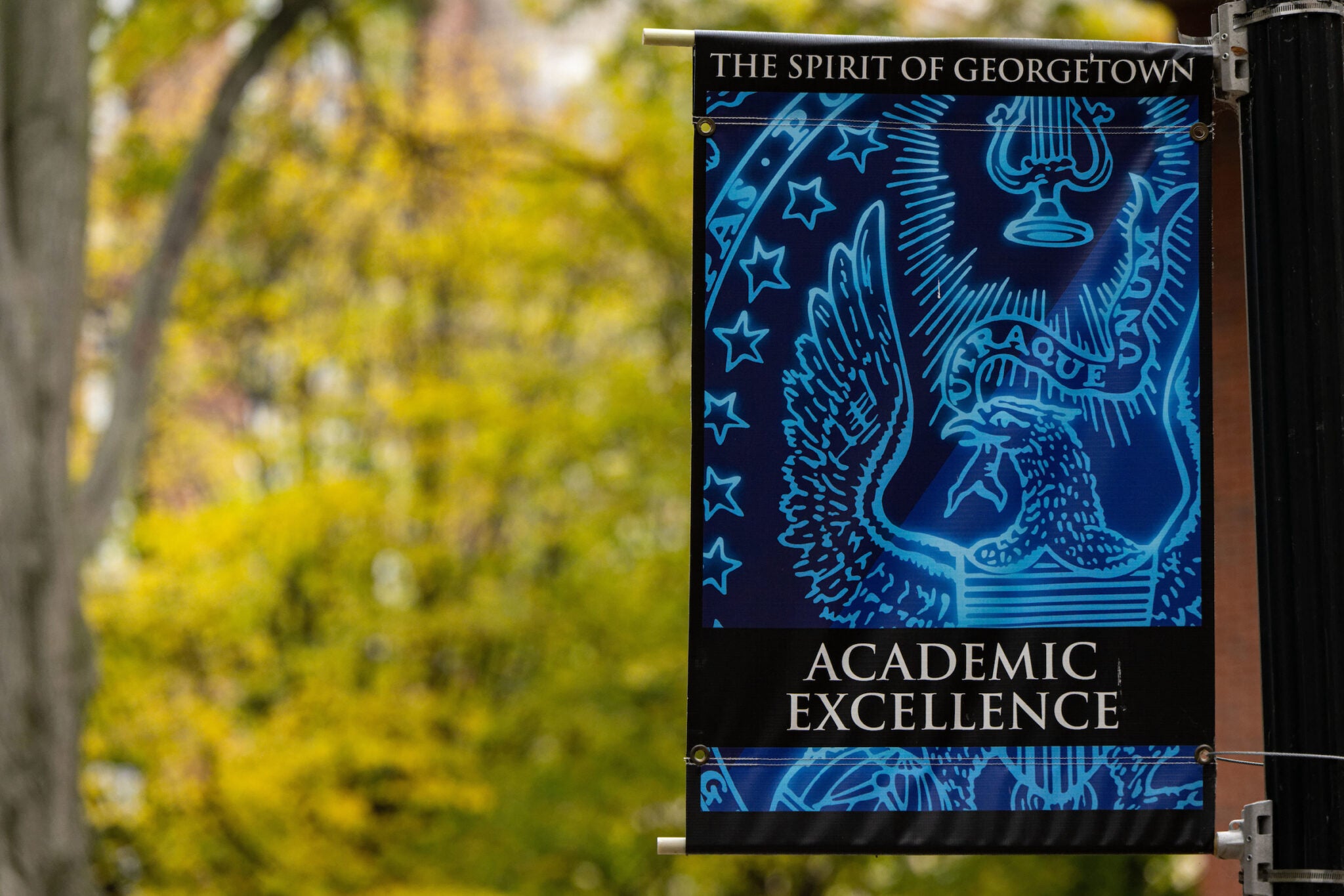 Ph.D. in Government | Department of Government | Georgetown University