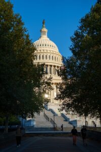 What is Democracy? - Democracy & Governance - Georgetown